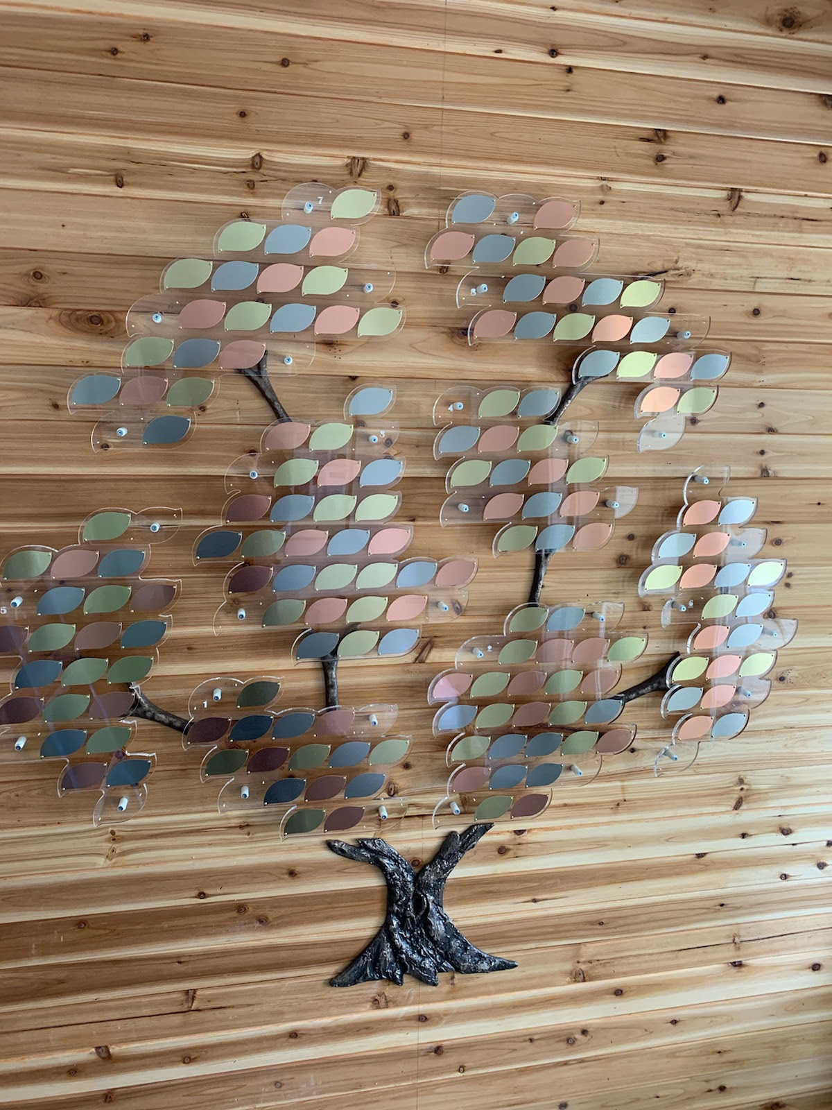 Tribute Tree | Friends of Quiet Waters Park